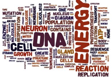 20+ Virus Multiple Choice Questions - Microbiology Viruses Quiz