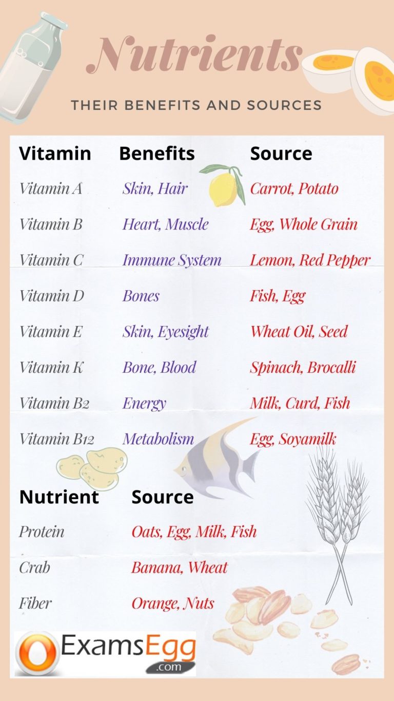 General Knowledge Questions On Vitamins Basic Science By Examsegg general-knowledge-questions-on-vitamins-basic-science-by-examsegg