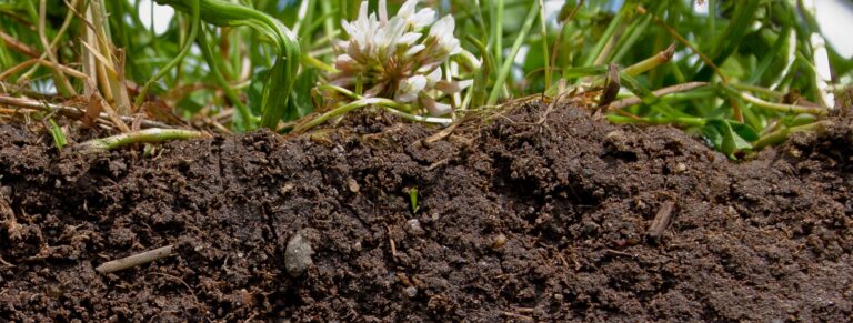 General Knowledge Quiz on Soil - 20 Questions with Answers