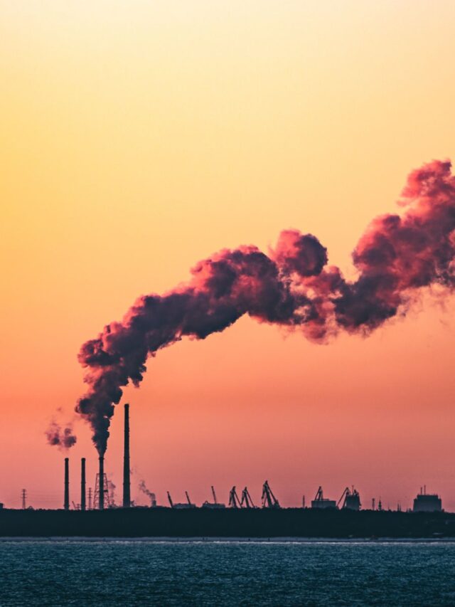 How Does Air Pollution Affect Humans?