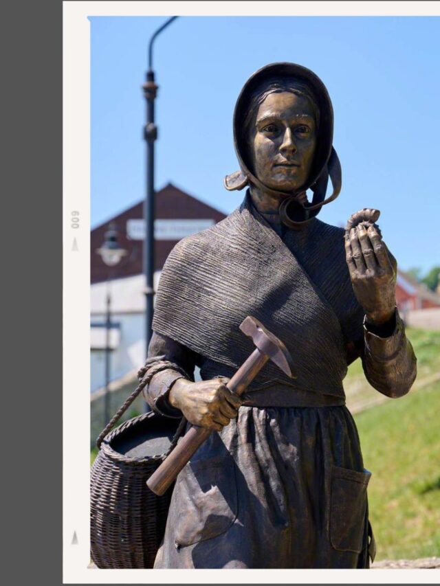 What did Mary Anning discover? - Examsegg Learning